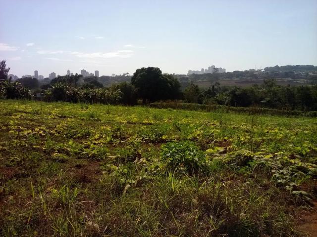 Terreno de 11000 metros quadrados no bairro Royal Park