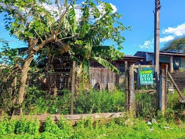 Terreno de 11 x 33 na Salomé em Alvorada