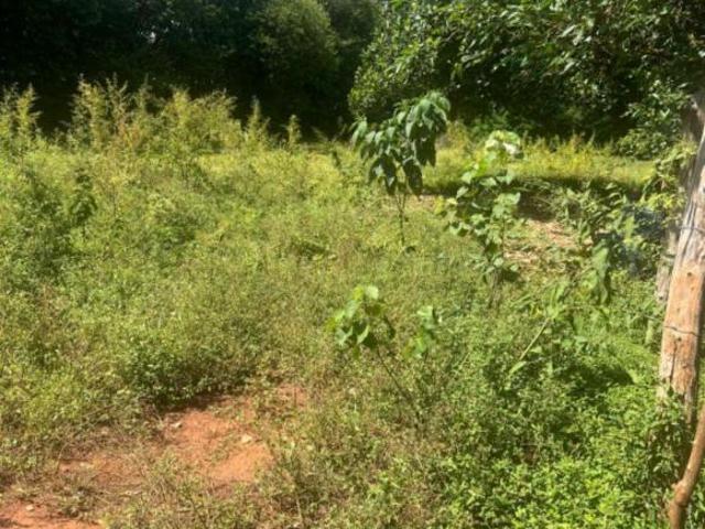 Terreno de 125 m² en Venda, Jardim Amanda I