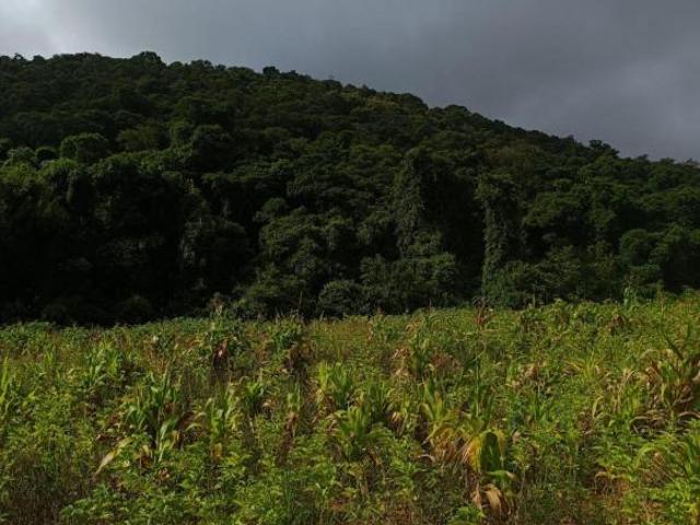 Terreno de 1.000 m² em Ibiúna SP para projetos de alto padrão