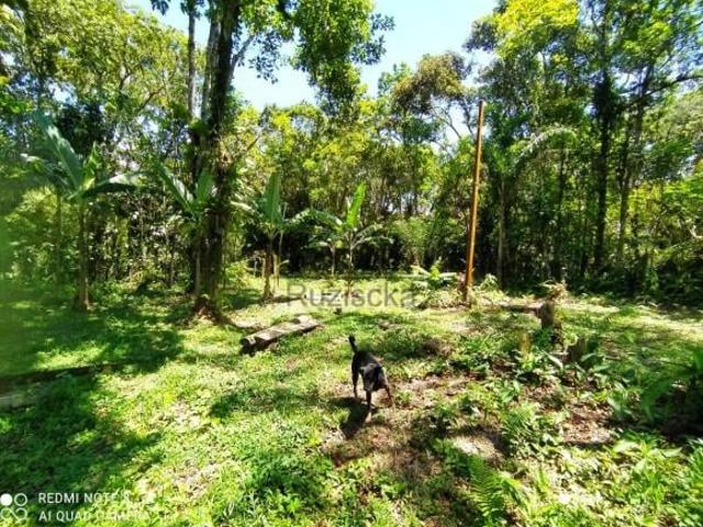 Terreno de 1.000 m² no Jardim Umuarama