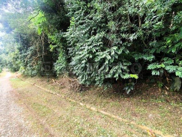 Terreno de 1.000² em condomínio fechado antes do centro!