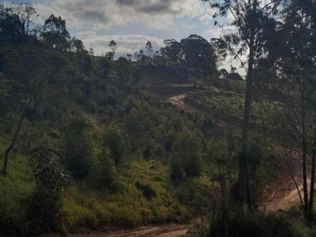 Terreno de 1.000m² com fundo para área de preservação permanente