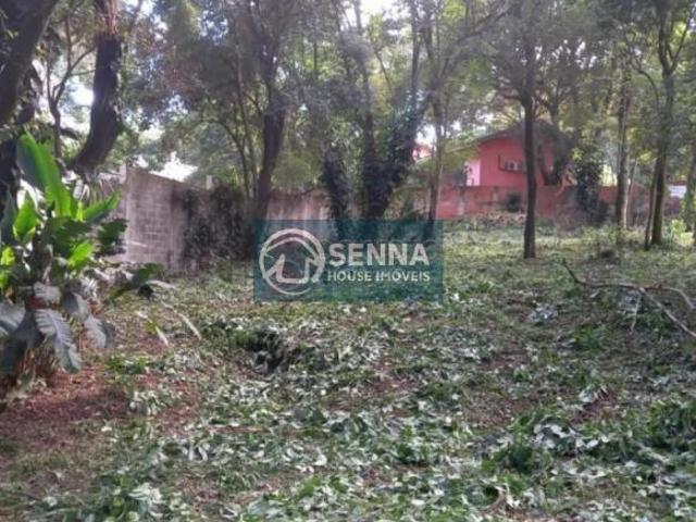 Terreno de 1.000m² na Chácara Malota | Vista para Mata | Sem Vizinho em Frente