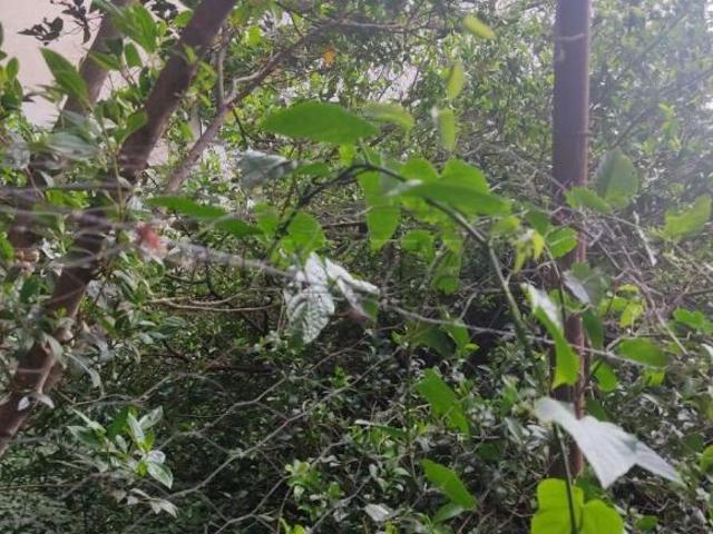Terreno de 1.187m², área de grande visibilidade e Fácil acesso ao comércio local