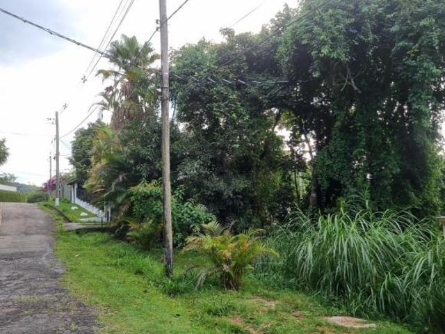 Terreno de 1.190m² Con Fechado Alpes da Cantareira