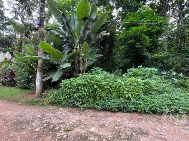 TERRENO DE 1.200 M² A VENDA EM UBATUBA SP / ITAMAMBUCA