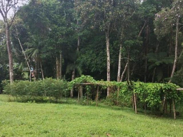 TERRENO DE 1.252m² PRÓXIMO AO CENTRO DO CIPÓ/EMBU GUAÇU