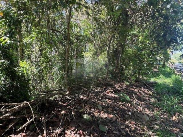 Terreno de 1.262m² à Venda por R$225.000,00 Sausalito Mairiporã