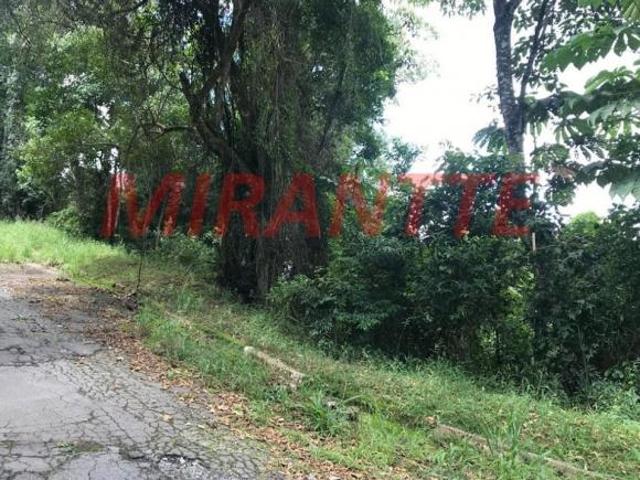 Terreno de 1.297m²