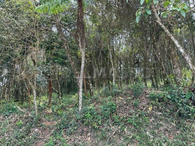 Terreno de 1.400 m² em condomínio!