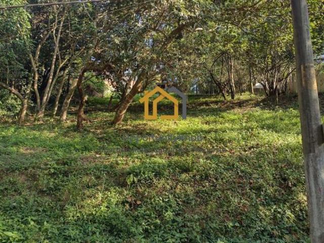 Terreno de 1.450m² em Aclive na Granja Viana – Condomínio Chácara Santa Lúcia