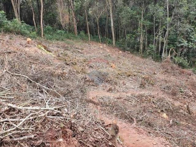 Terreno de 1.659m² à venda Condomínio Arujazinho I II e III em Arujá, SP