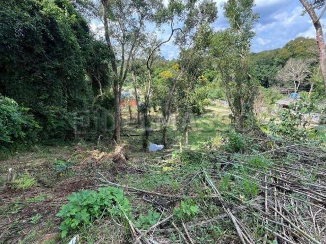 Terreno de 1.750 m² com pouquíssima mata em loteamento próximo ao asfalto!