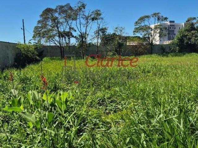 Terreno de 1.840 metros distante a 2,6 km do centro de São José dos Pinhais