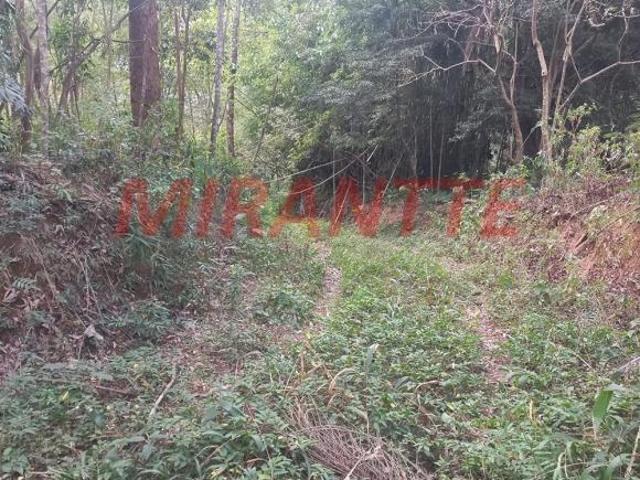 Terreno de 250m²