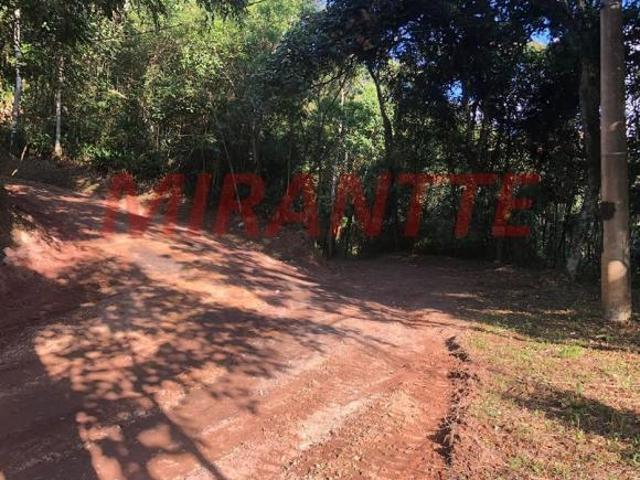 Terreno de 269m²