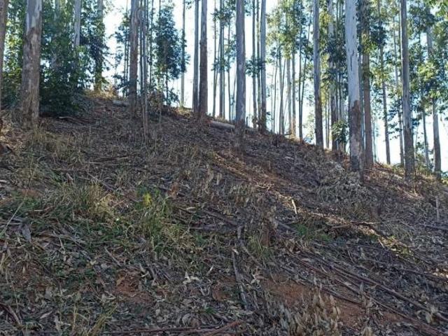 Terreno de 20 mil metros em paraibuna com vista maravilhosa