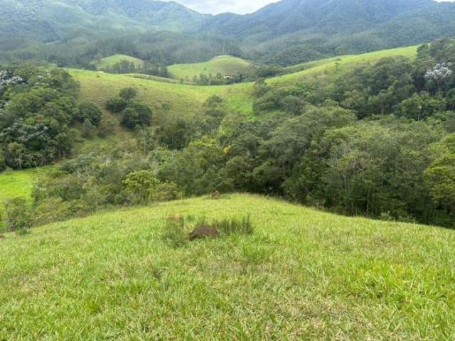 Terreno de 20.000m² à venda na região de São Francisco Xavier