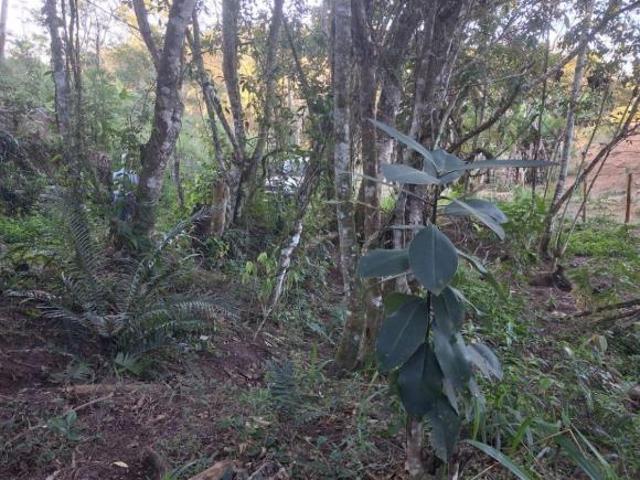 Terreno de 20mil metros