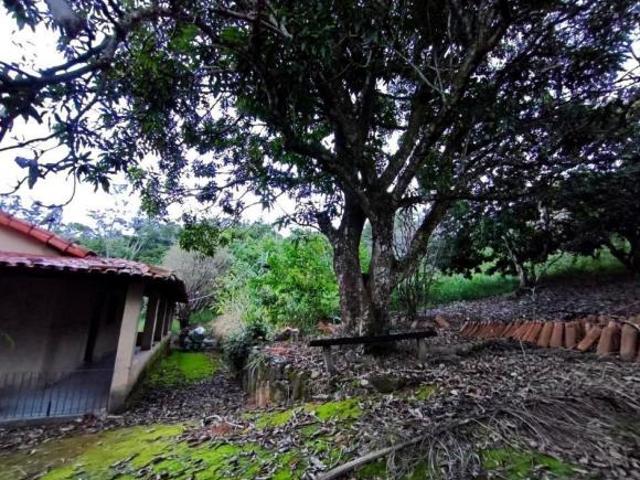 TERRENO DE 21 HECTARES EM PIEDADE DOS GERAIS ? EXCELENTE OPORTUNIDADE!