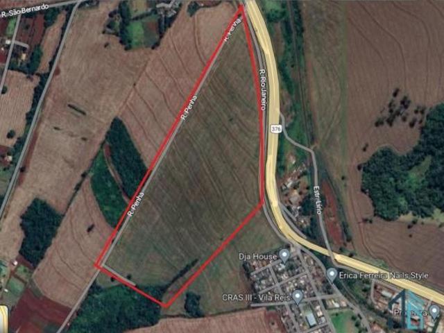 Terreno de 21.500m2 para galpões, terreno próximo a Cidade de Apucarana PR