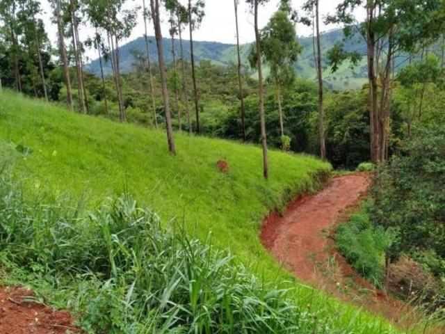 Terreno de 2 alqueires á venda em Dom Viçoso, MG