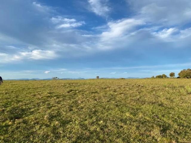 Terreno de 2 hectares a venda