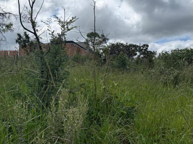 Terreno de 382 m² à venda, bairro Vila dos Ipês