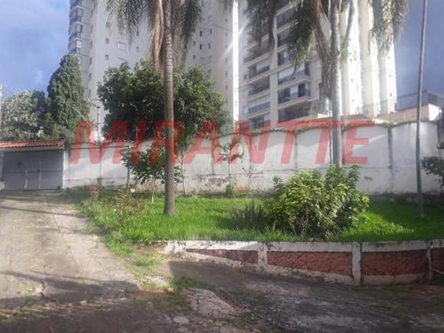 Terreno de 392m²