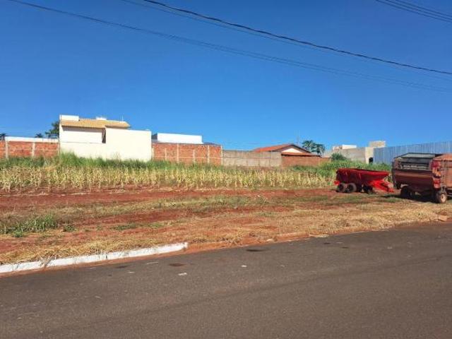 Terreno de 300 m² a Venda, na Avenida 11 Carneirinho terreno Comercial