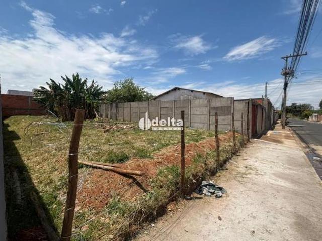 Terreno de 300 m² disponível para venda no bairro Shopping Park em Uberlândia MG