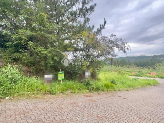 TERRENO DE 300M² ACIMA DO NÍVEL DA RUA NO BAIRRO METZLER EM CAMPO BOM