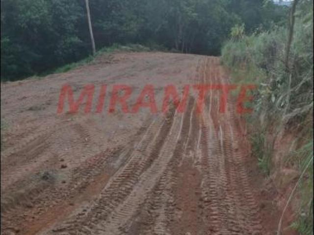 Terreno de 3115m²