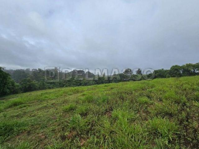 Terreno de 31.000m², perfeito para investimento!