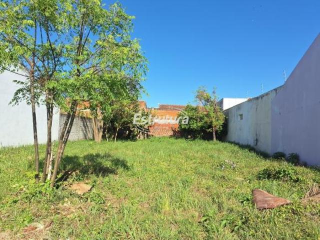 Terreno de 325m² ótima localização Novo Horizonte