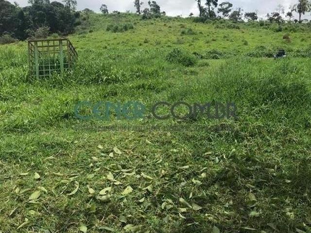 Terreno de 32,9 ha em Piedade dos Gerais bom para pecuária