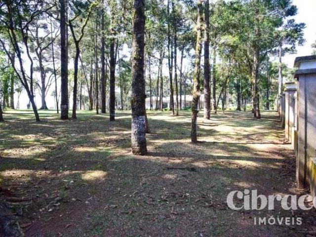 Terreno de 3.645,23 m² em Piraquara, próximo ao Upa 24 Horas O Recanto II