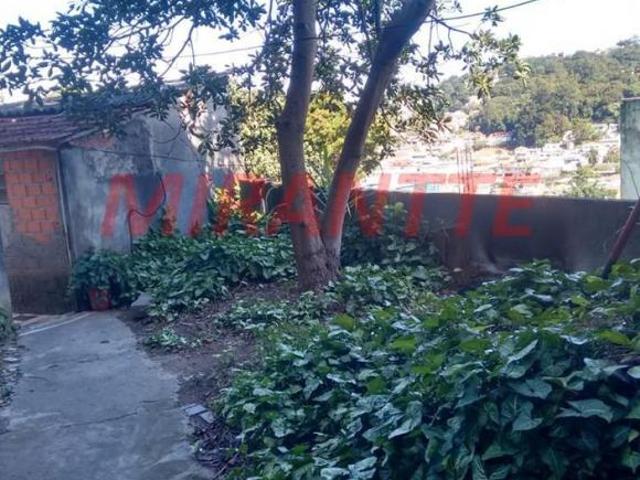 Terreno de 445m²