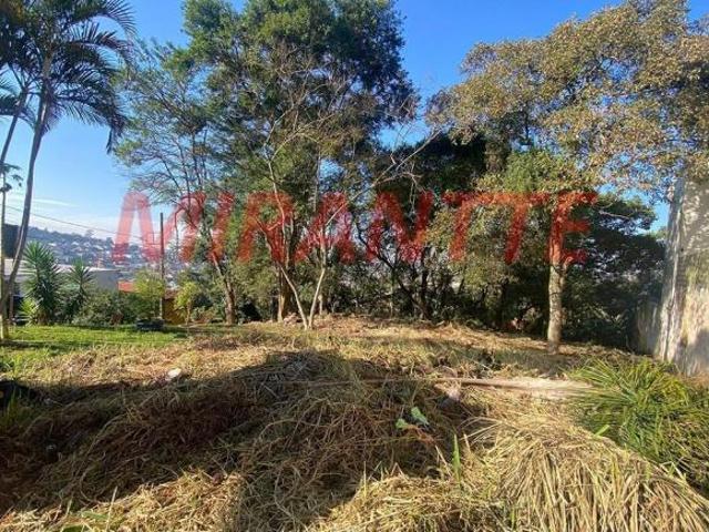 Terreno de 445m²