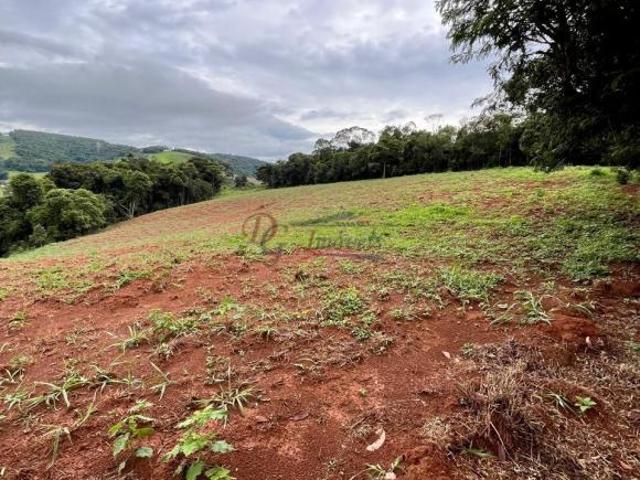 Terreno de 46.000m² à venda na cidade de Piedade das Gerais em Minas Gerais
