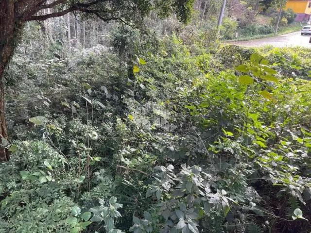 Terreno de 498,48 m² no bairro santa catarina caxias do sul