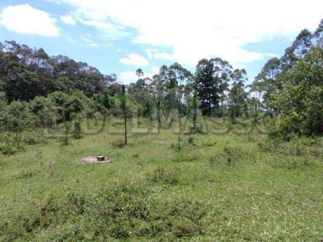 Terreno de 40 mil metros em meio a tranquilidade e natureza exuberante!