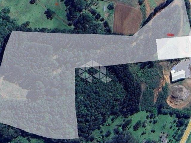 Terreno de 4.050 m2 na Br 128 em Antonio Prado