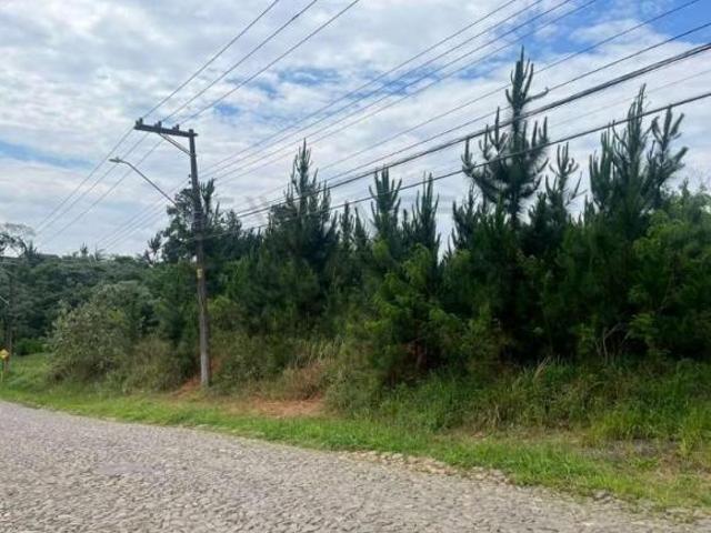 Terreno de 4.973 m² em condomínio à venda em Cotia SP, no bairro Paisagem Renoir
