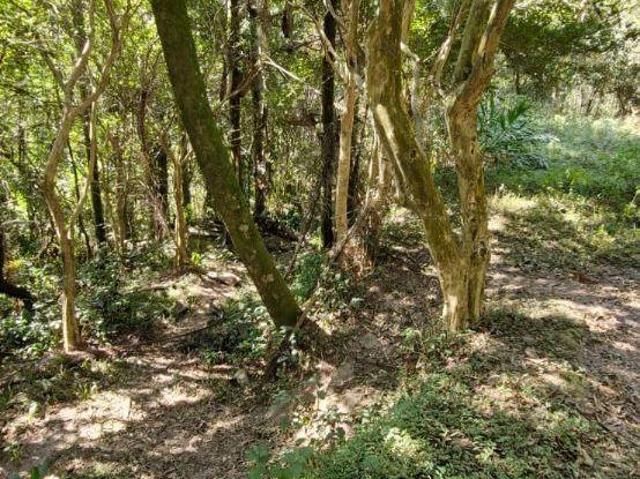 Terreno de 5950 m² à venda em Jardim Santo André