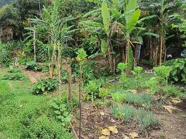 Terreno de 510 m² R$ 800.000 Praia de Toque Toque Grande São Sebastião/SP