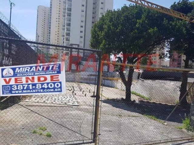 Terreno de 536m²