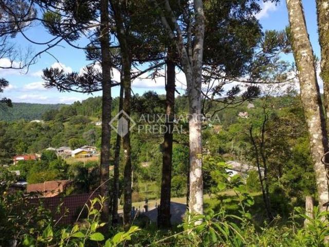 TERRENO DE 5 HECTARES EM GRAMADO