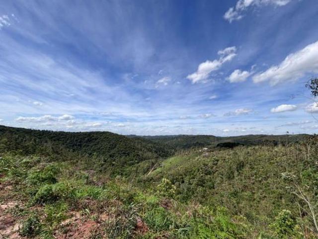 Terreno de 5 mil metros em São Lourenço da Serra SP